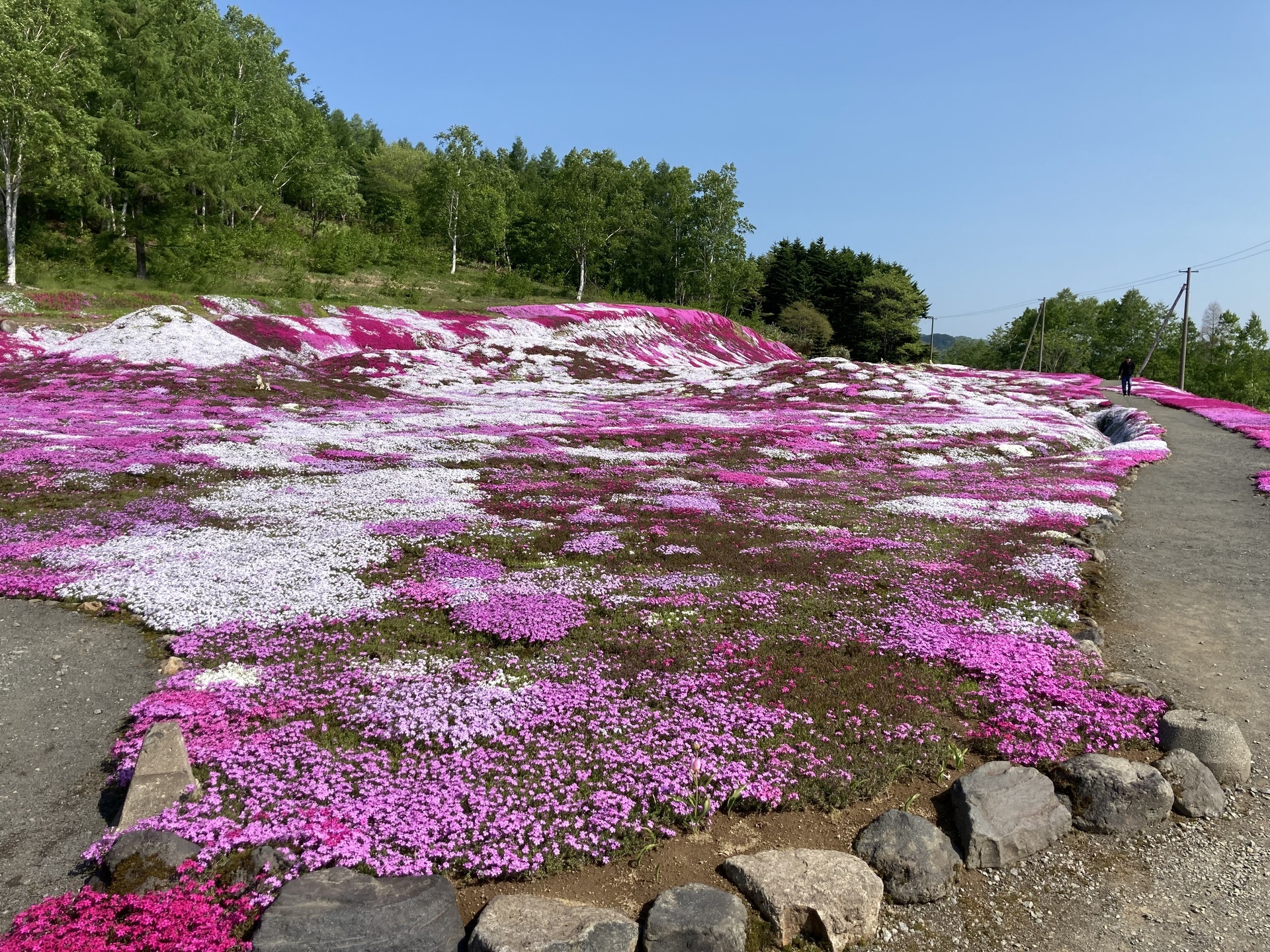 Mt. Yotei May 28, 2025: My daily journal